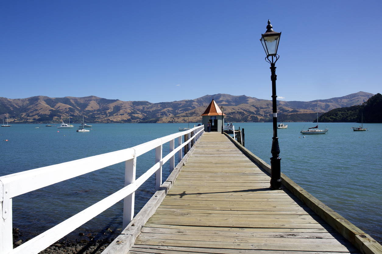 Wild Earth NZ Cruises - Travel Advocates